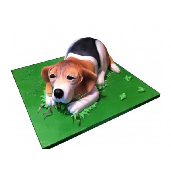 BEAGLE | Wedding, Birthday & Party Cakes