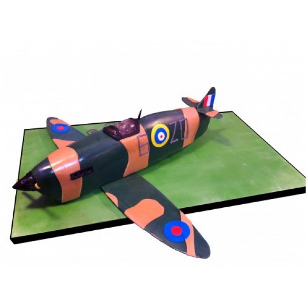 FIGHTER PLANE | Birthday Party Cakes